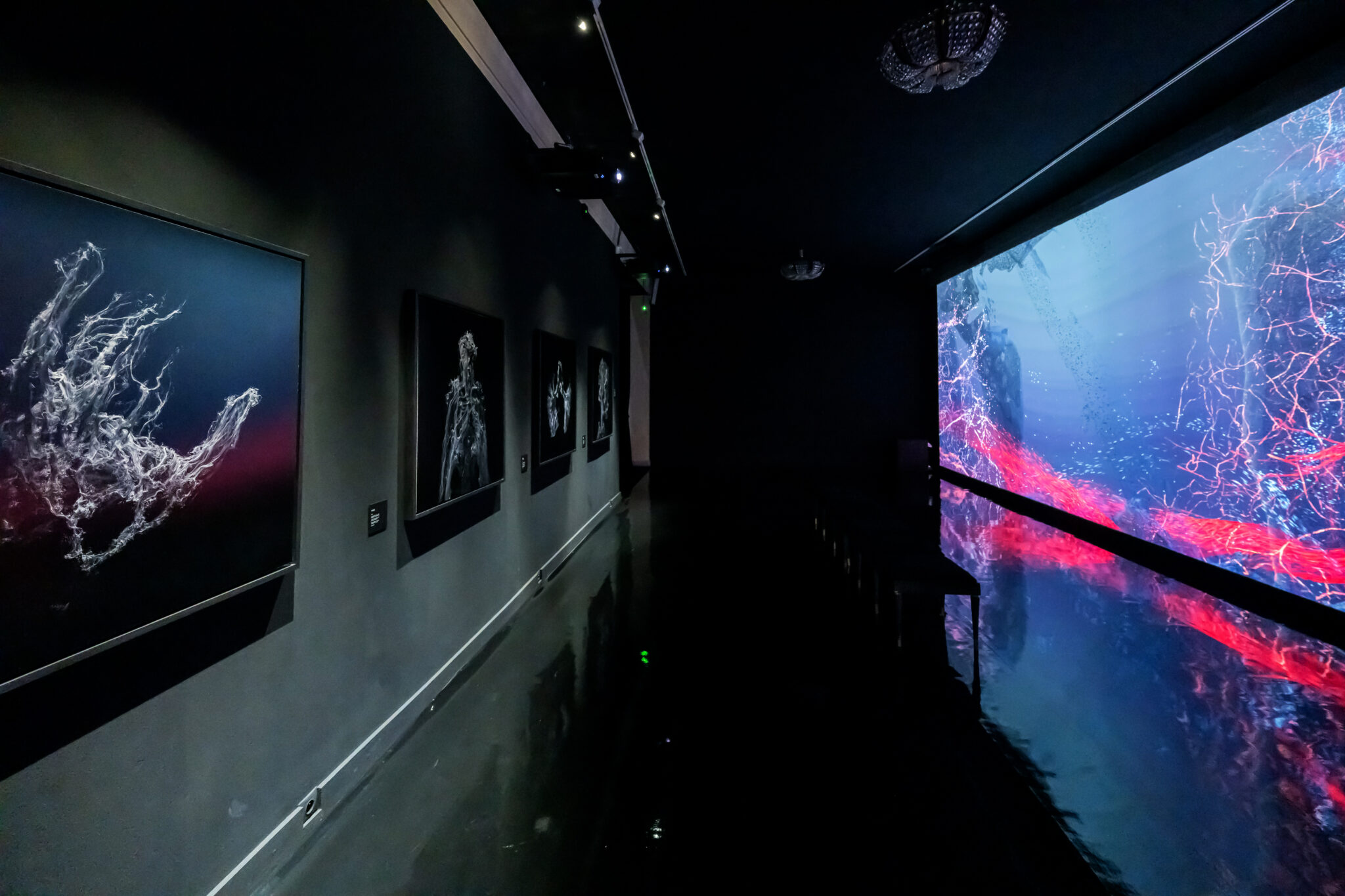 Evolver — Marshmallow Laser Feast