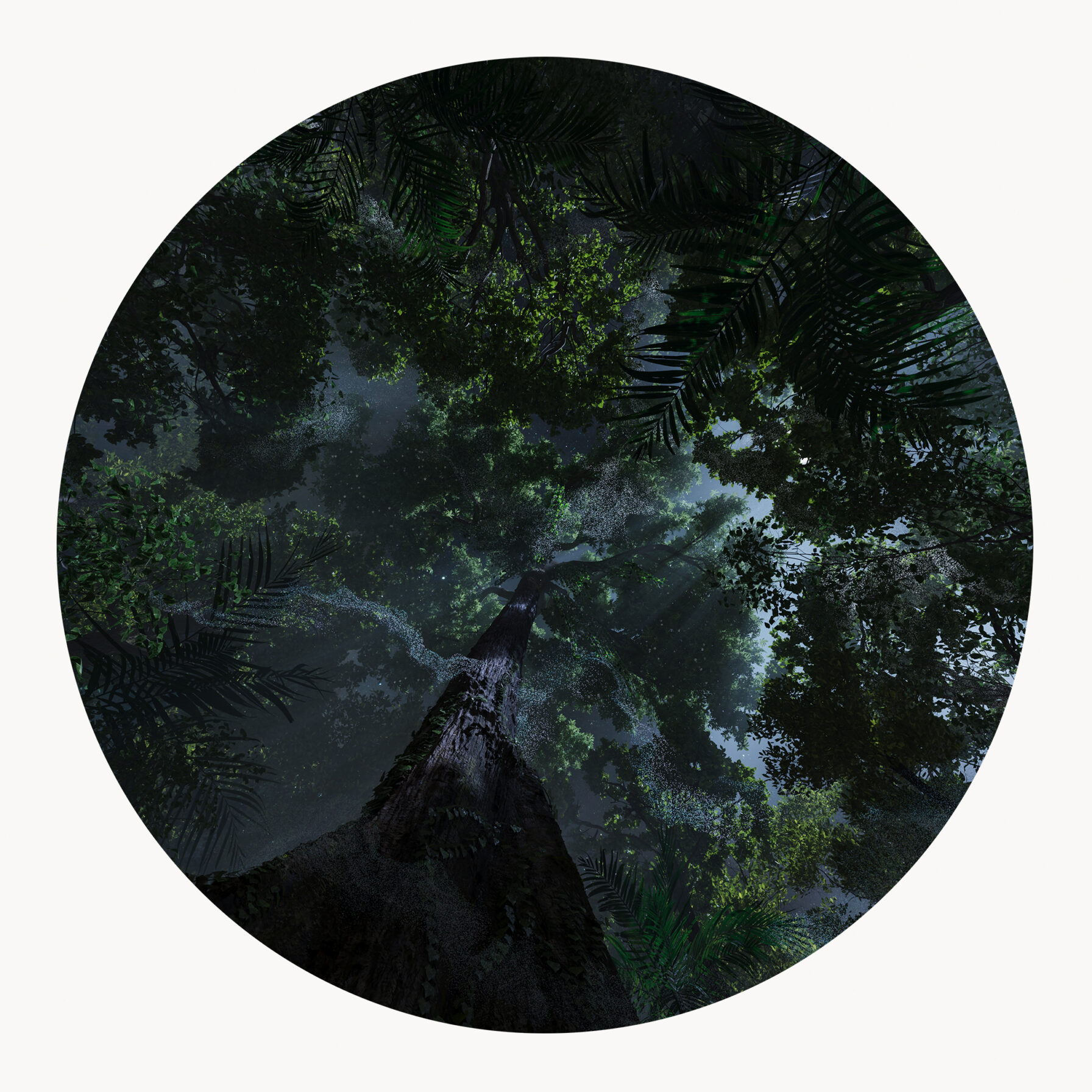 Forest Bathing: Lupuna — Marshmallow Laser Feast