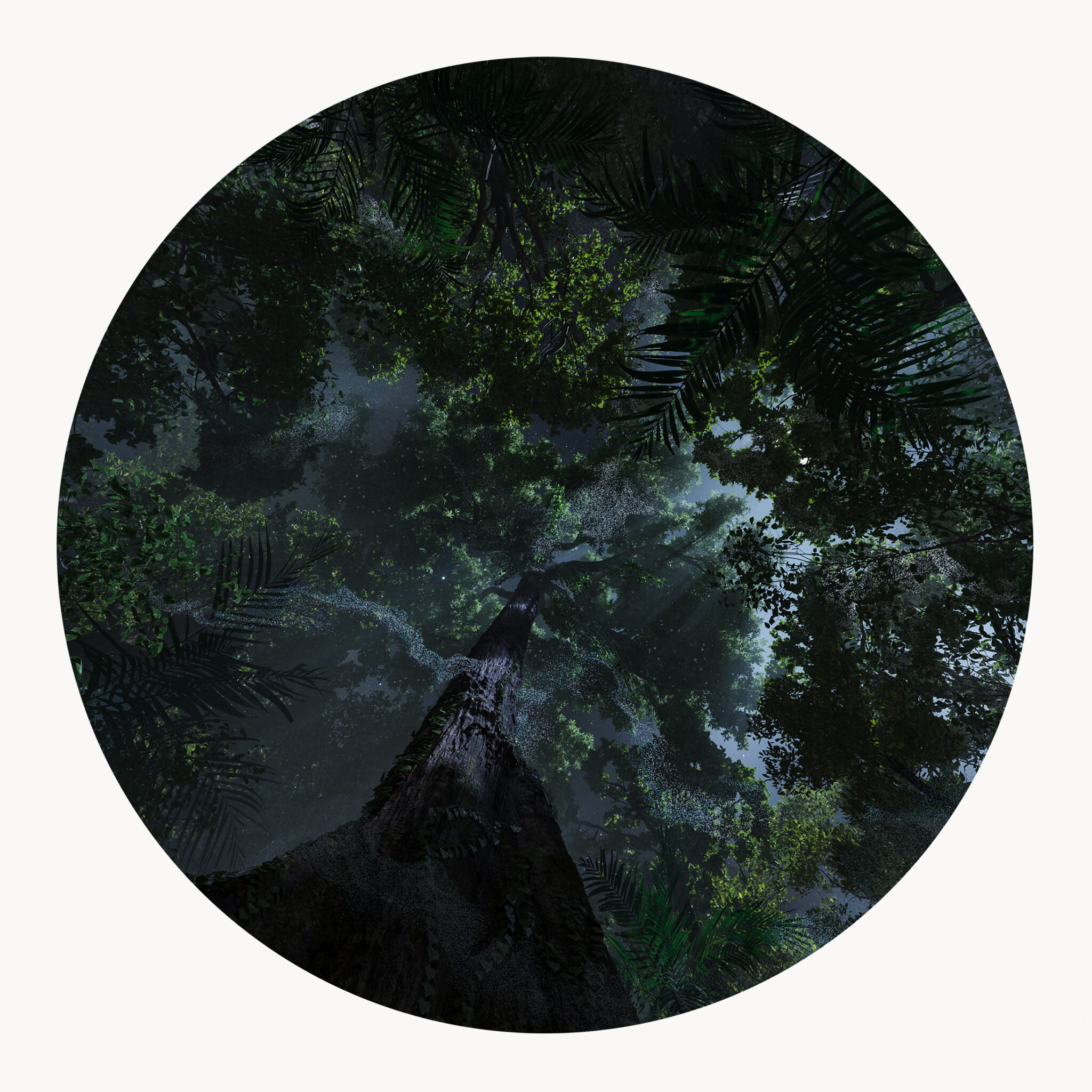 Forest Bathing: Lupuna — Marshmallow Laser Feast