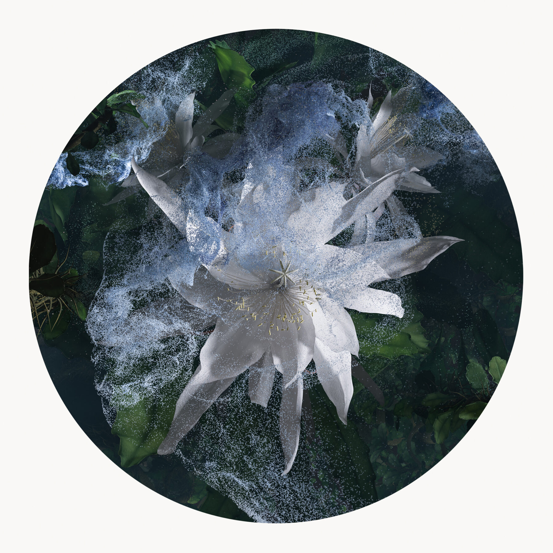 Forest Bathing: Lupuna — Marshmallow Laser Feast