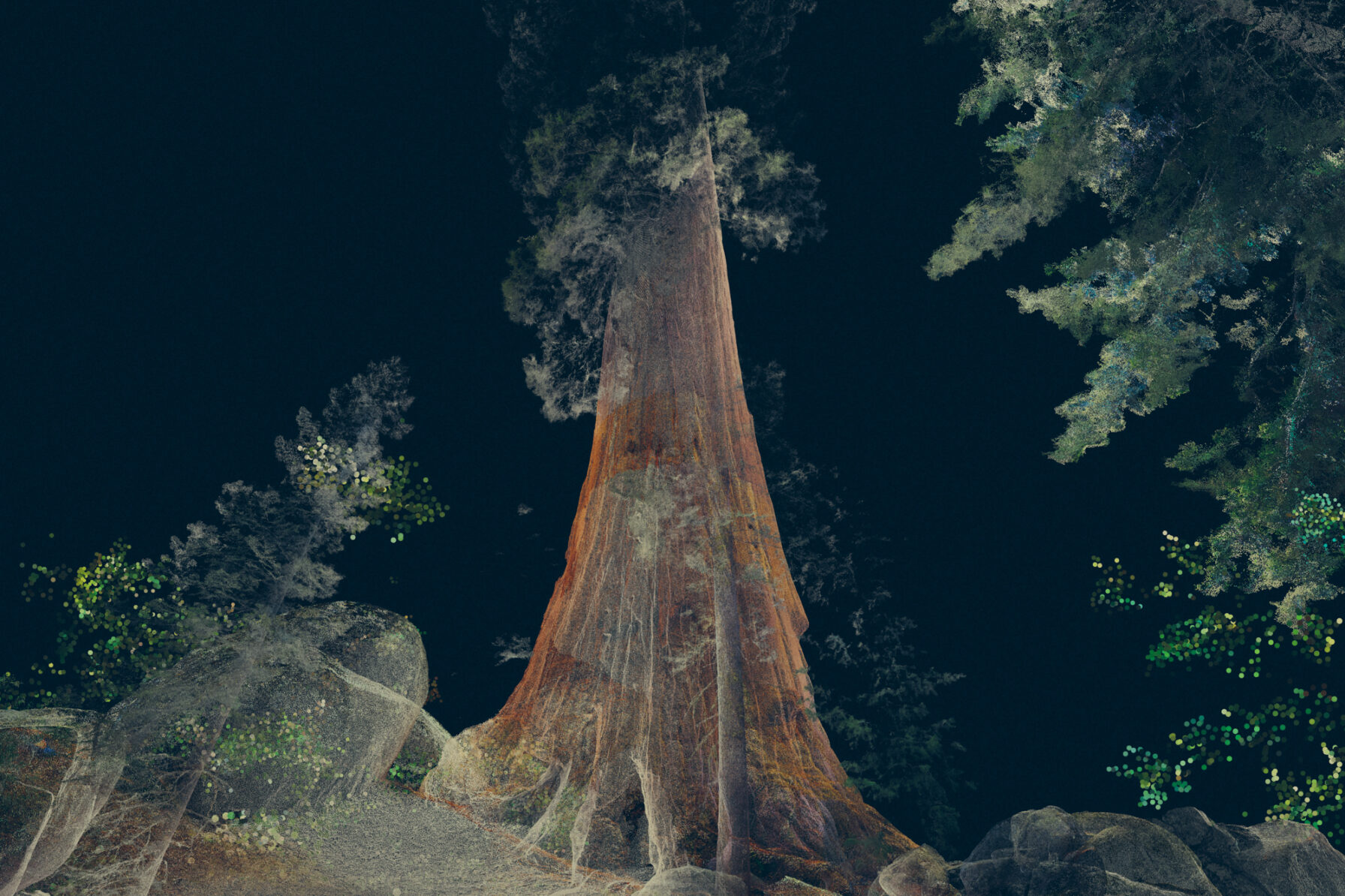 Treehugger: Wawona — Marshmallow Laser Feast