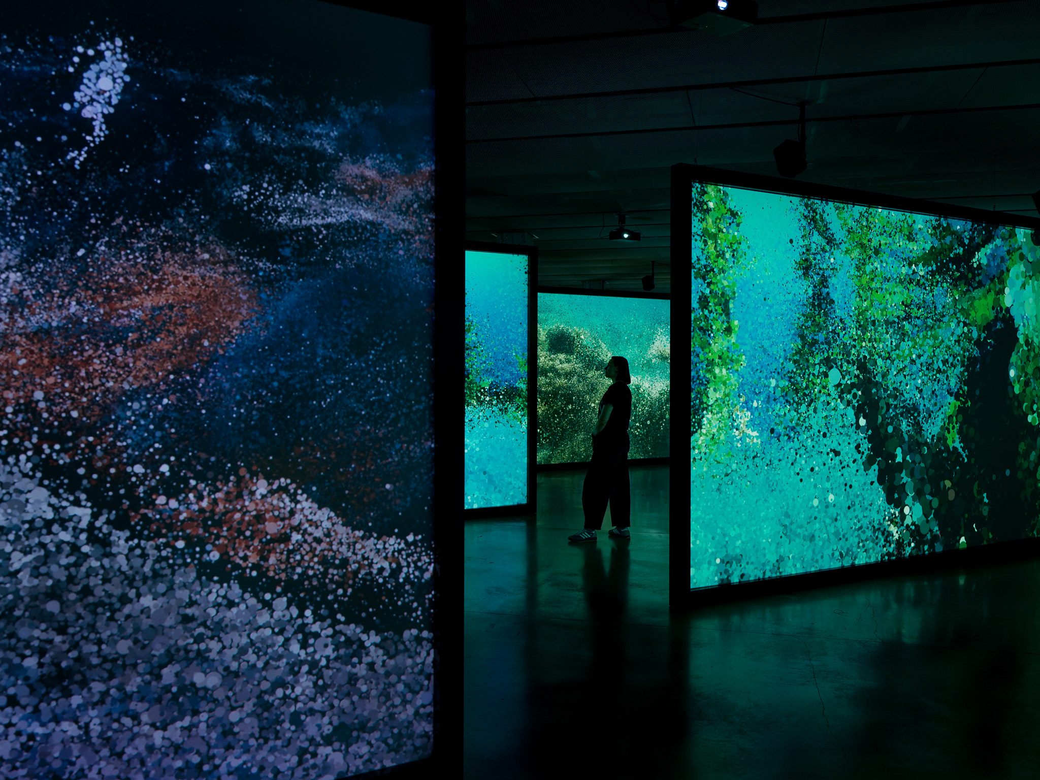 Seeing Echoes in the Mind of the Whale — Marshmallow Laser Feast