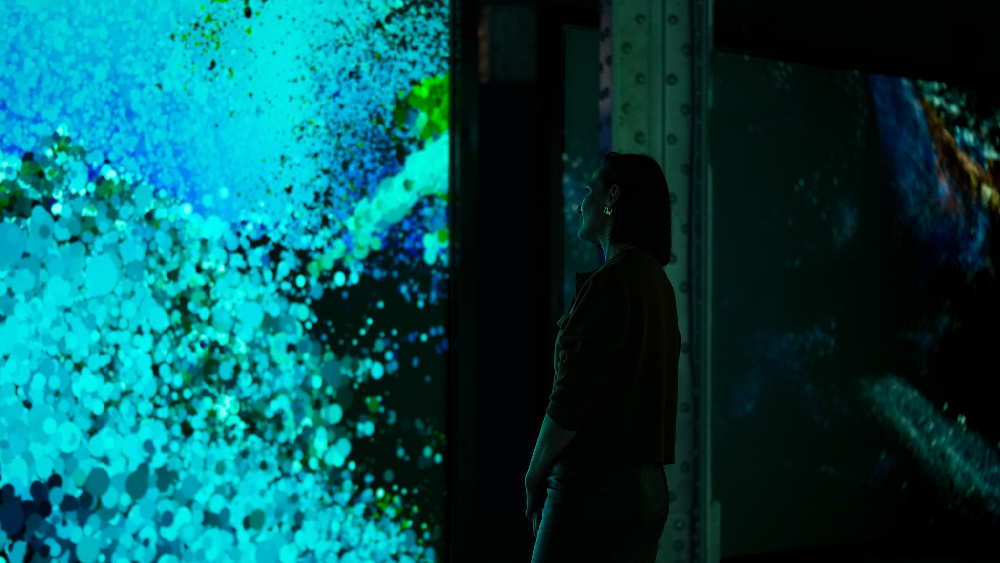 Seeing Echoes in the Mind of the Whale — Marshmallow Laser Feast