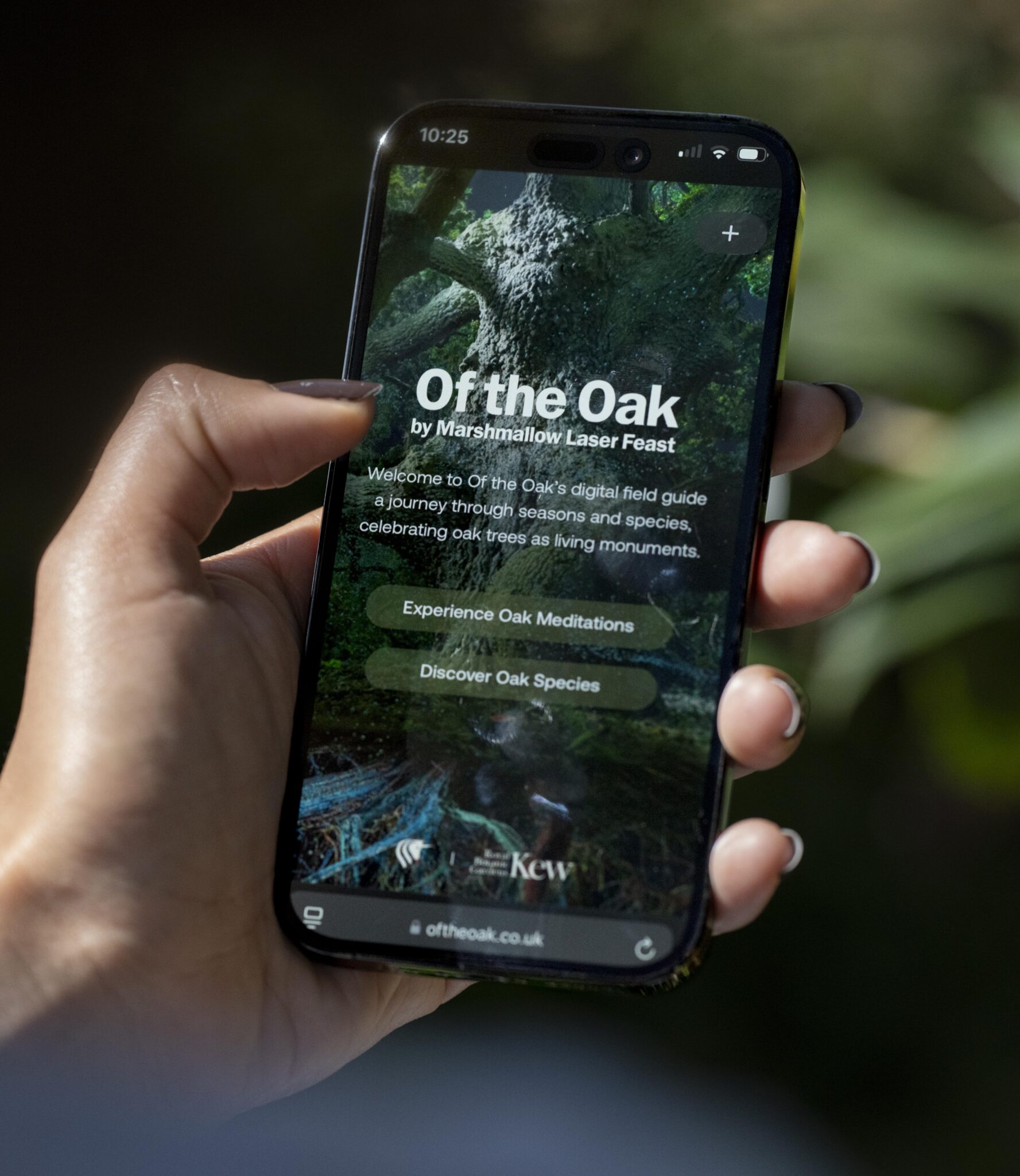 Of the Oak — Marshmallow Laser Feast